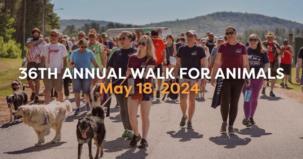 Walk for Animals